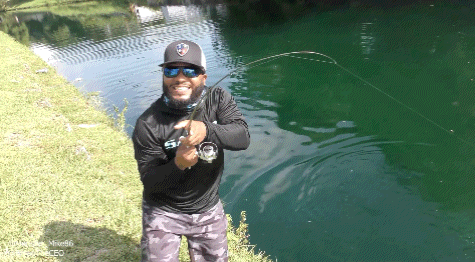 Pocket Rod – Pocket Rod Official™